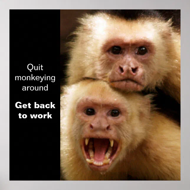 Two Monkeys Motivational Poster | Zazzle