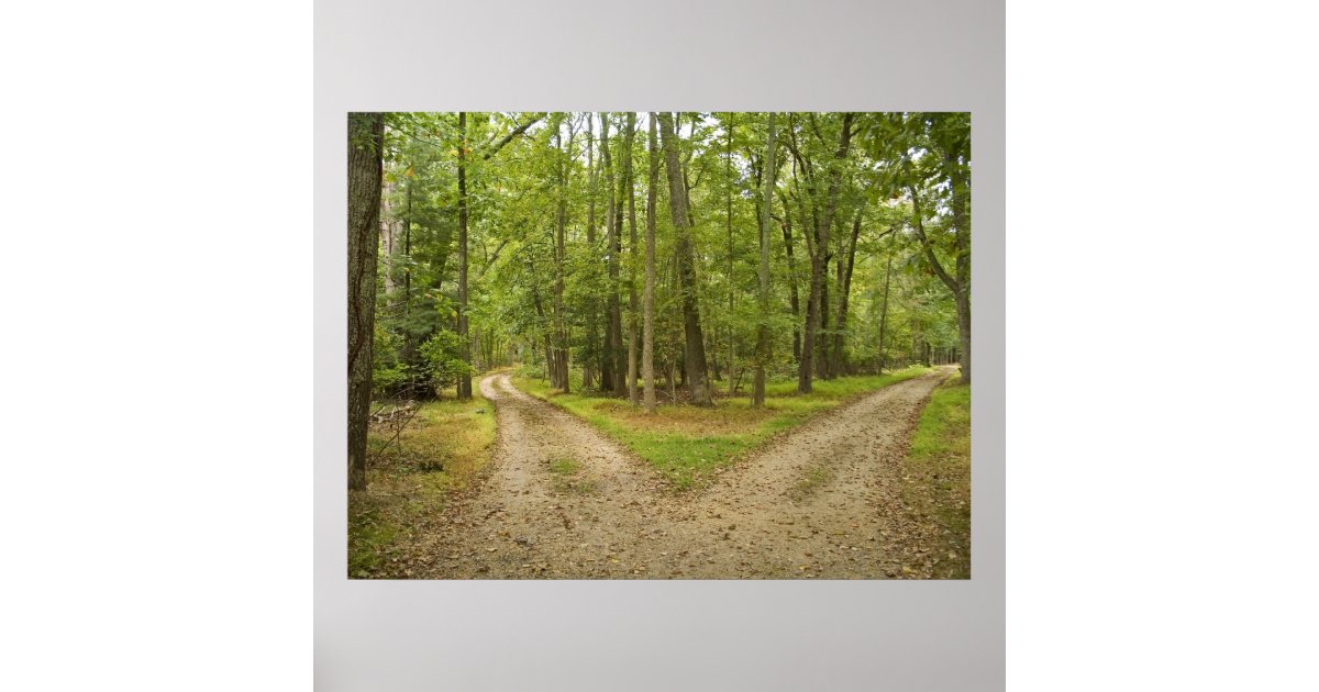 Two Paths Poster | Zazzle