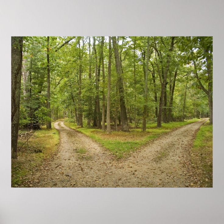 Two Paths Poster | Zazzle