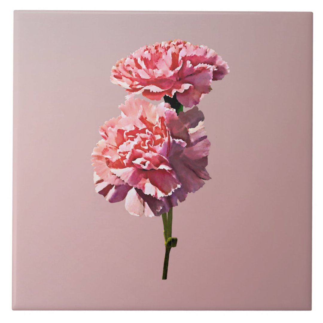 Two Pink Carnations Ceramic Tile | Zazzle