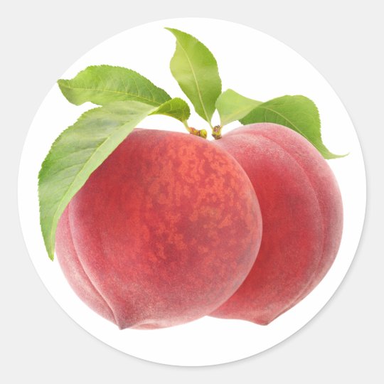 Two pink peaches classic round sticker | Zazzle.com