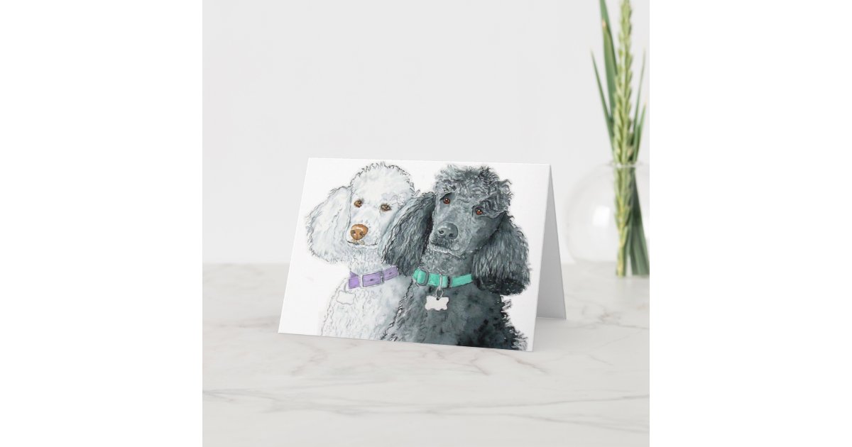 Two Poodles Greeting Cards | Zazzle