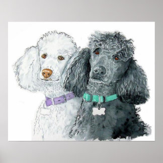 Poodle Posters | Zazzle