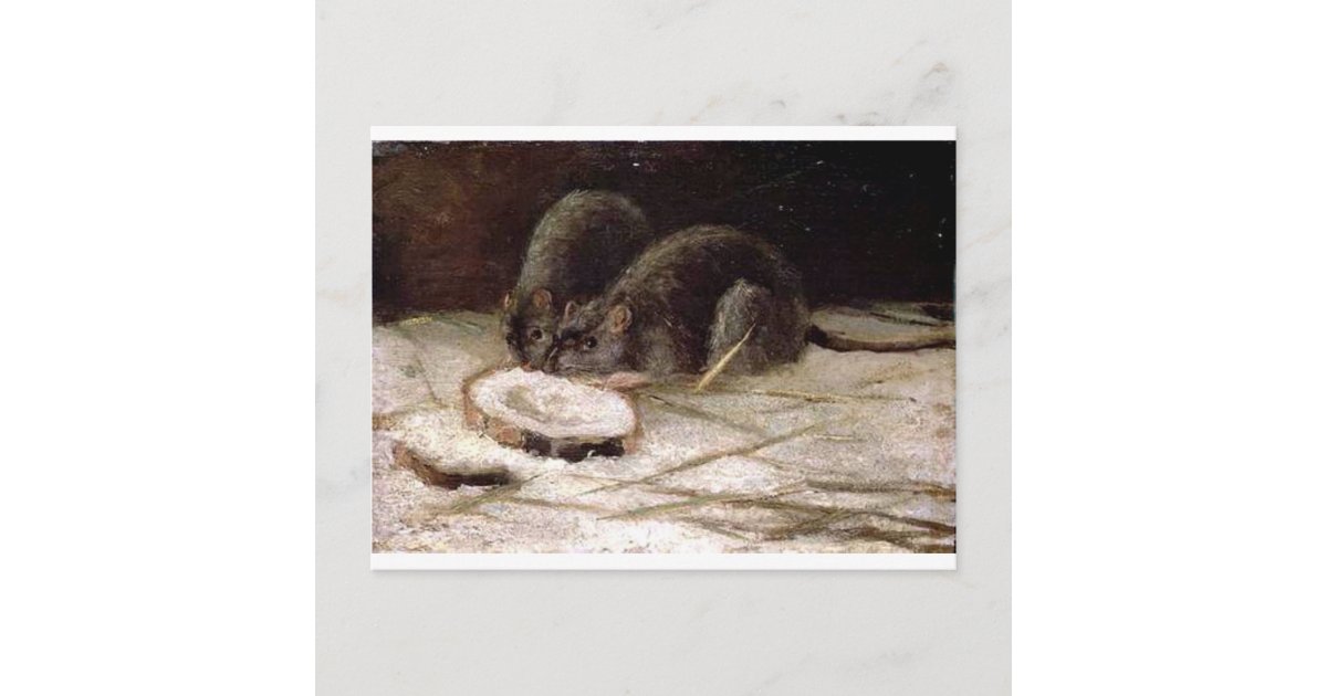 Two Rats by Vincent van Gogh Postcard | Zazzle