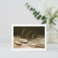 Two Rats Van Gogh Fine Art Postcard | Zazzle