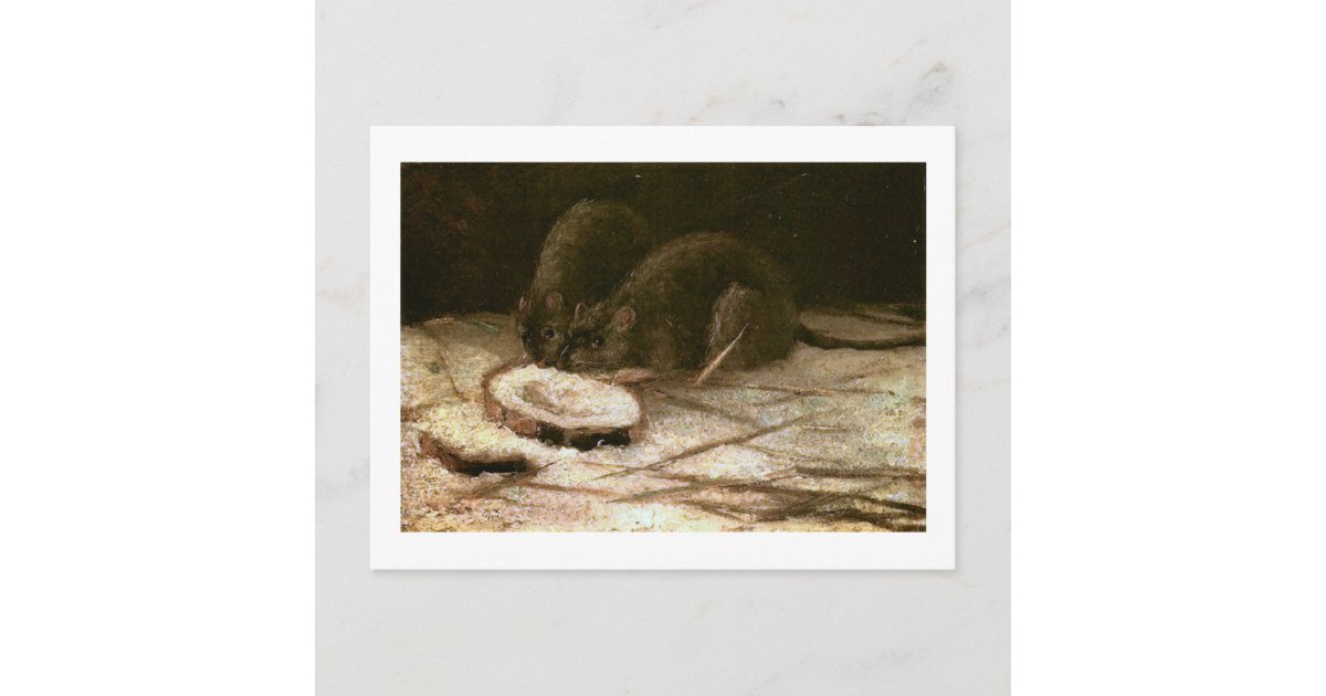 Two Rats Van Gogh Fine Art Postcard | Zazzle