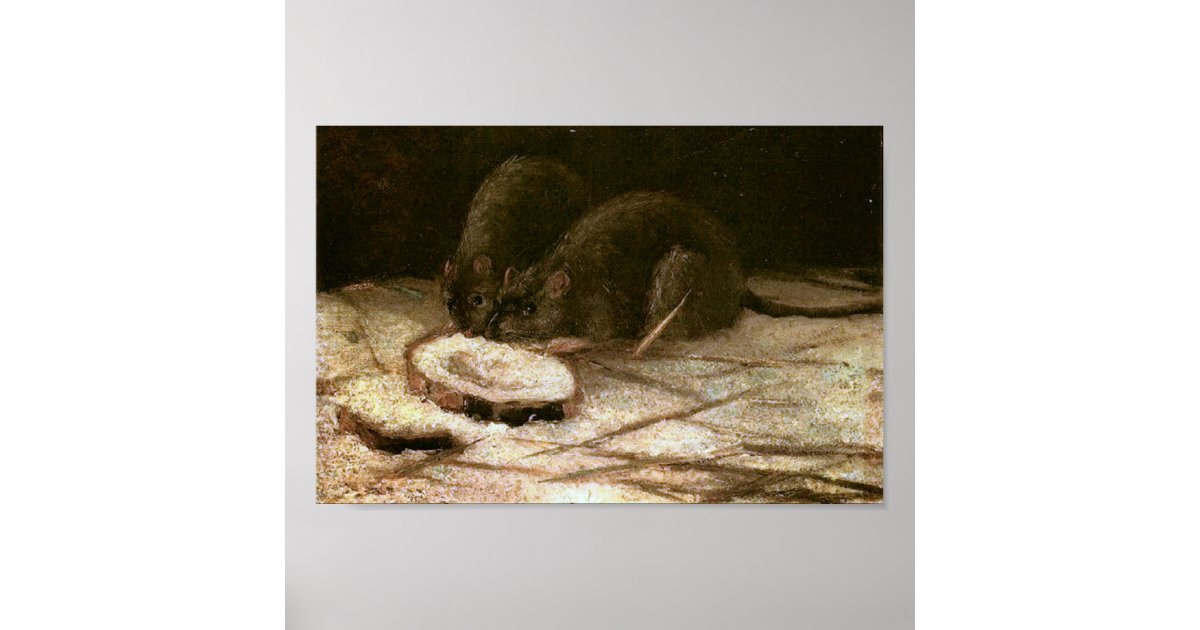 Two Rats Van Gogh Fine Art Poster | Zazzle
