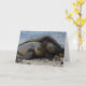 Two Sea Turtles Snuggling on the Sand Card | Zazzle