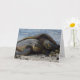 Two Sea Turtles Snuggling on the Sand Card | Zazzle