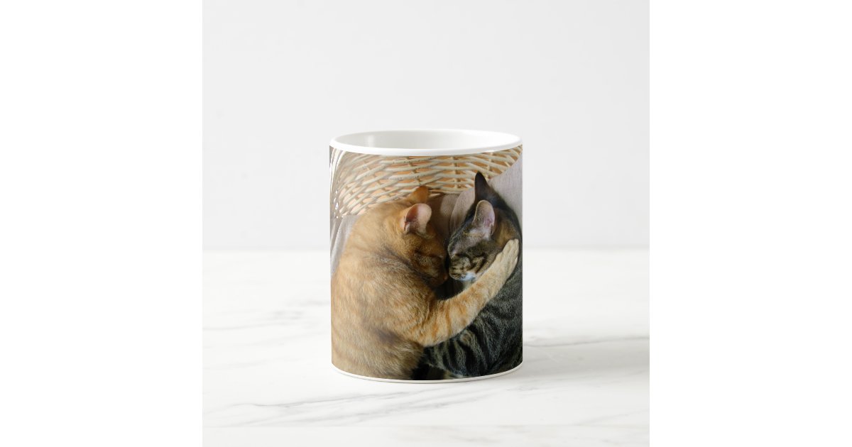 Two Sleeping Tabby Cats Cuddling Coffee Mug | Zazzle