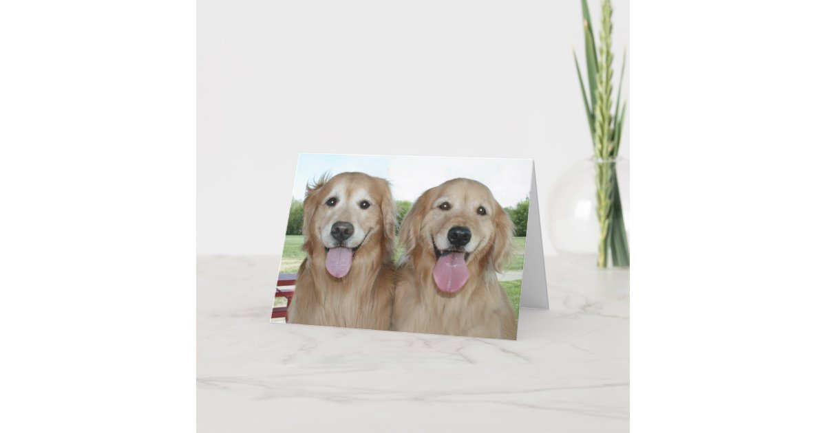 Two Smiling Golden Retrievers Just Saying Hi Card | Zazzle