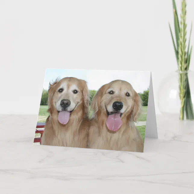 Two Smiling Golden Retrievers Just Saying Hi Card | Zazzle