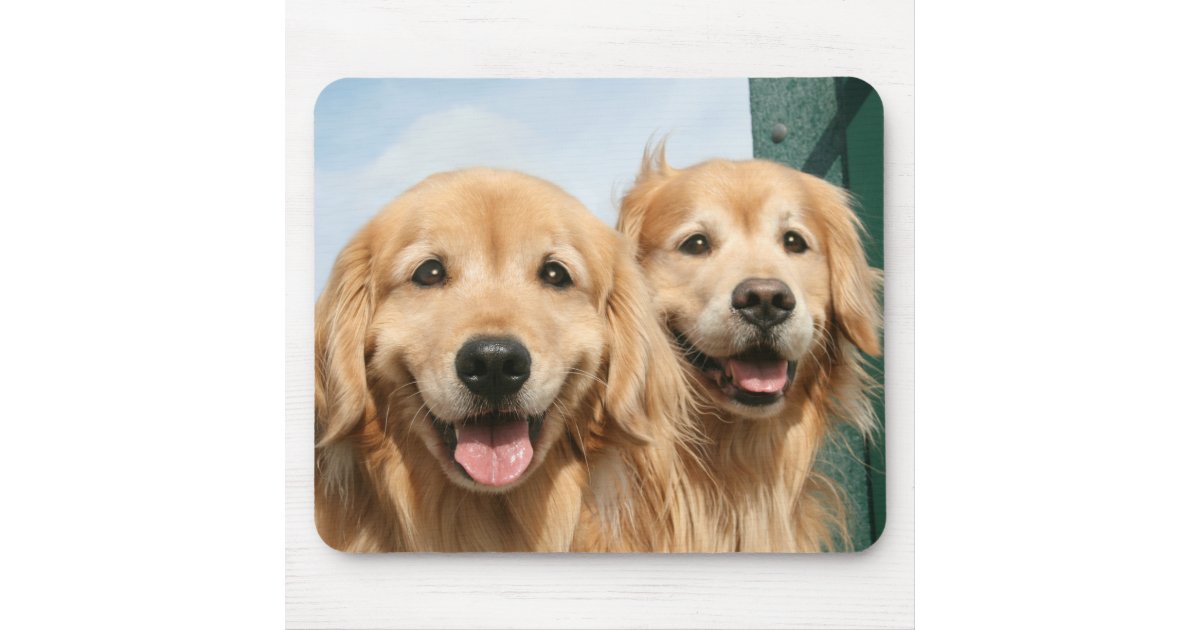 Two Smiling Golden Retrievers Mouse Pad | Zazzle