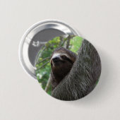 Two Toed Sloth Button | Zazzle