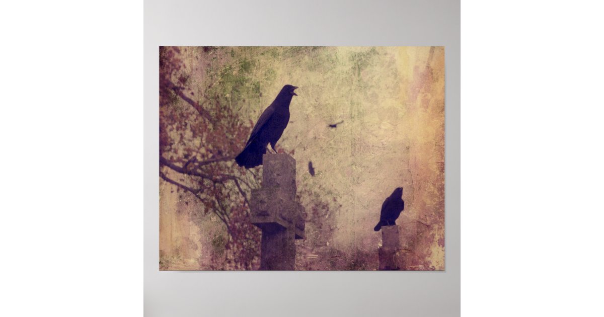Two Very Cool Ravens Poster | Zazzle