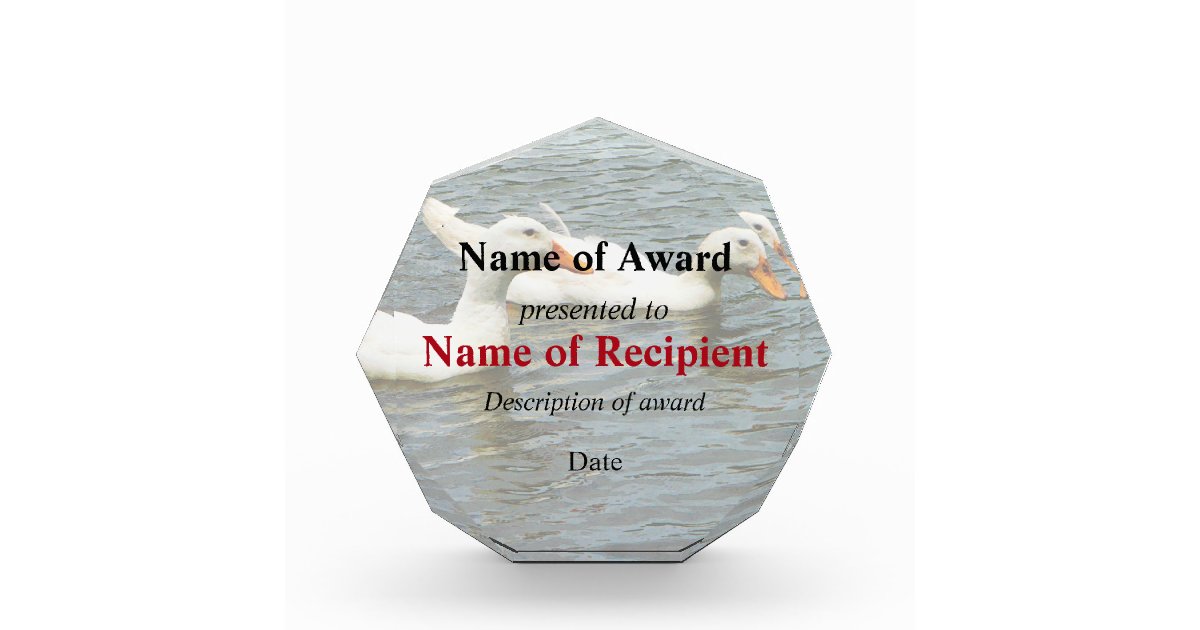 Two White Ducks Award | Zazzle