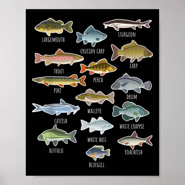 how many species of freshwater fish are there