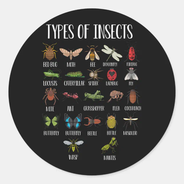 Types Of Insects Bug Identification Classic Round Sticker | Zazzle