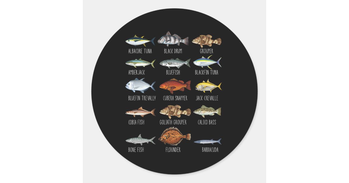 Types Of Saltwater Fish Species Biology Fishing Lo Classic Round ...