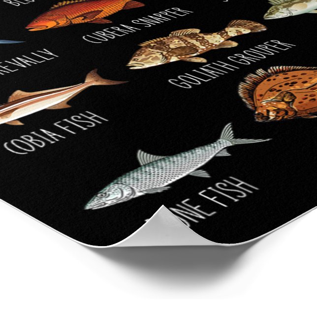 fish poster design
