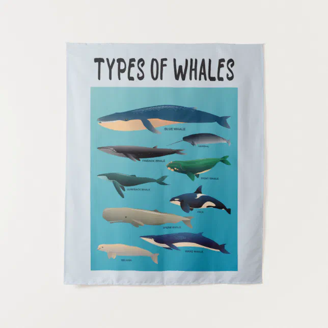 Types Of Whales Ocean Mammal Variety Tapestry | Zazzle