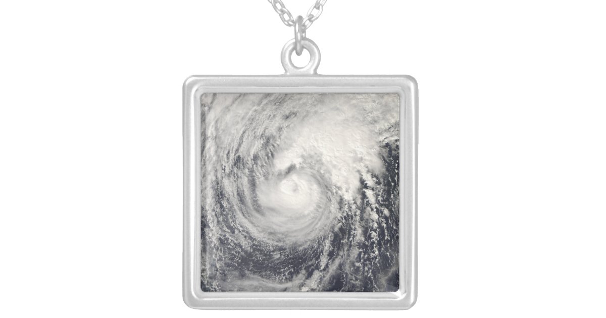 Typhoon Dolphin in the Philippine Sea Silver Plated Necklace | Zazzle