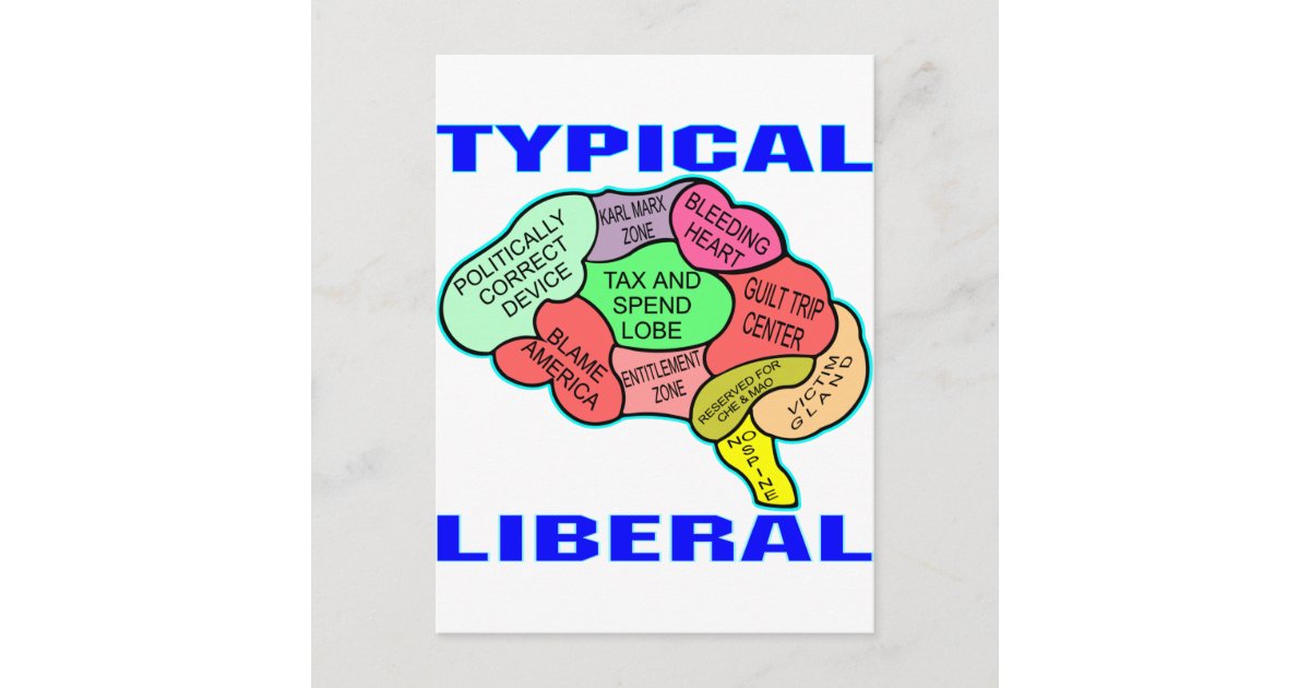 Typical Liberal Socialist Brain Postcard | Zazzle