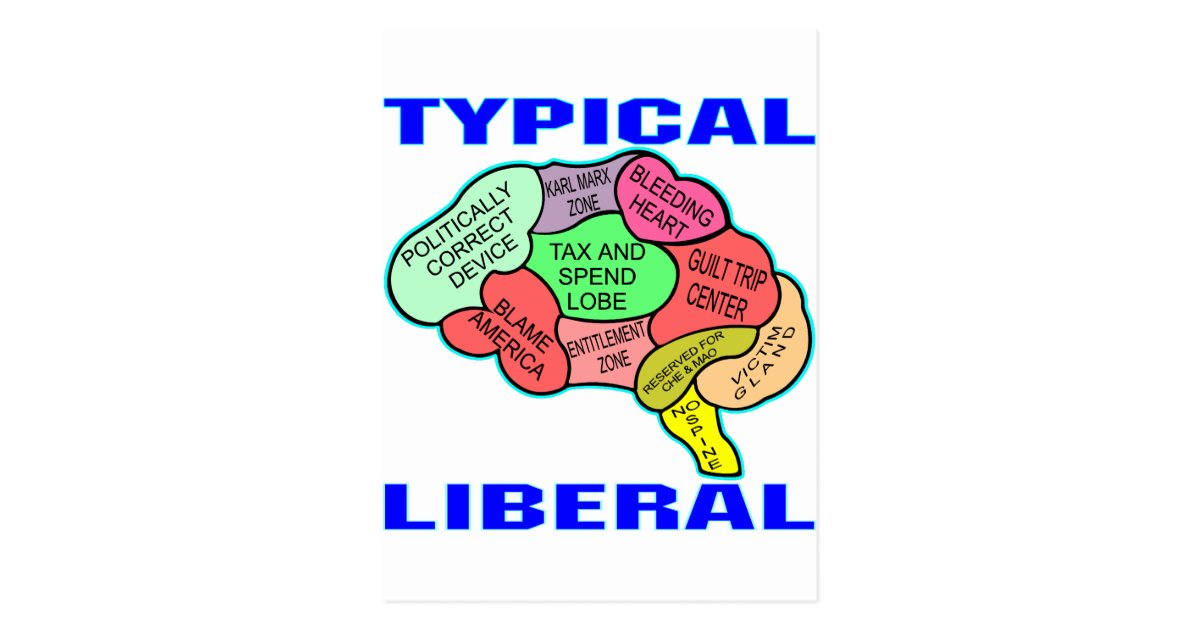 Typical Liberal Socialist Brain Postcard | Zazzle