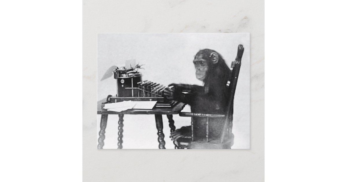 Typing Monkey Postcard | Zazzle
