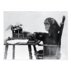 Chimpanzee typing postcard | Zazzle.com