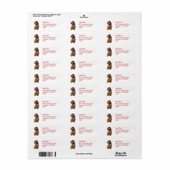 Tyrannosaurus Rex Label | Zazzle