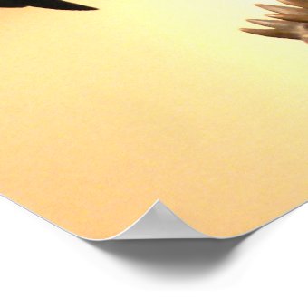 Tyrannosaurus Rex Poster | Zazzle