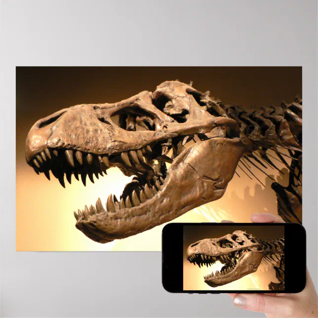 Tyrannosaurus Rex Poster | Zazzle