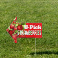 U-pick Strawberries Arrow Shaped Sign | Zazzle