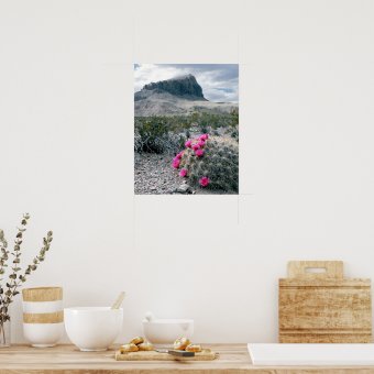 U.S.A., Texas, Big Bend National Park. Blooming Poster | Zazzle