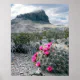 U.S.A., Texas, Big Bend National Park. Blooming Poster | Zazzle