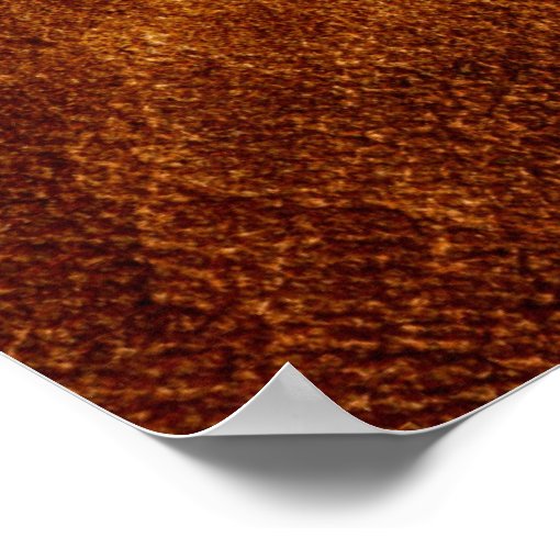 U.S. Marines: Lieutenant Colonel (USMC LtCol) [3D] Poster | Zazzle