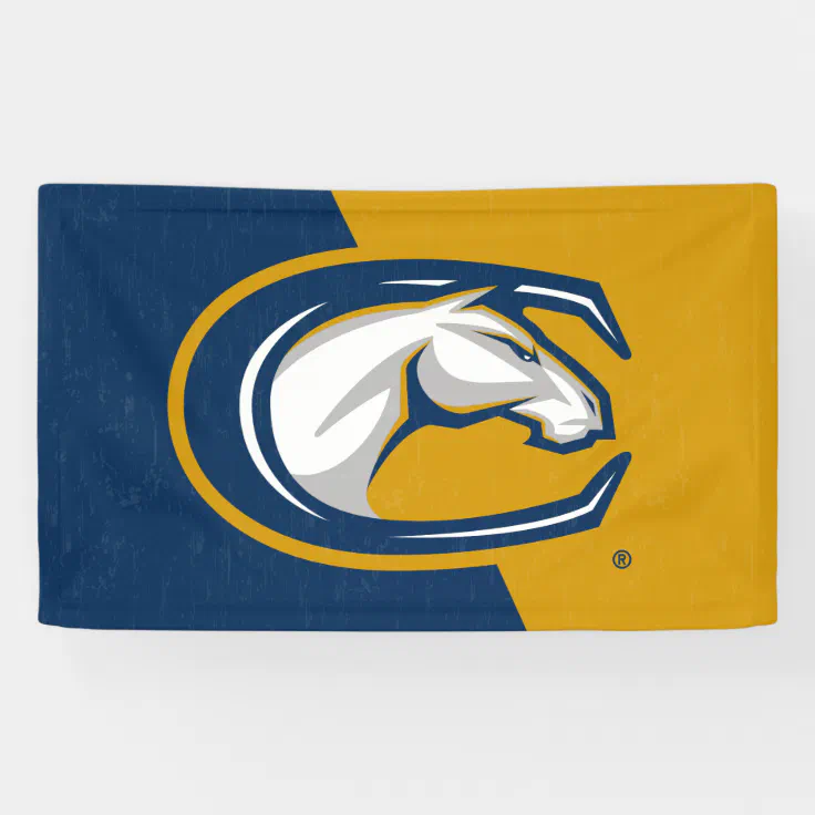 UC Davis Color Block Banner | Zazzle