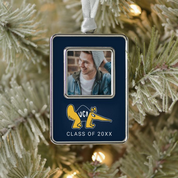 UC Irvine | UCI Anteaters Fabric | Zazzle