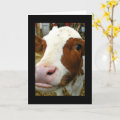 Udderly Cool Godfather Father's Day With Cow Card | Zazzle