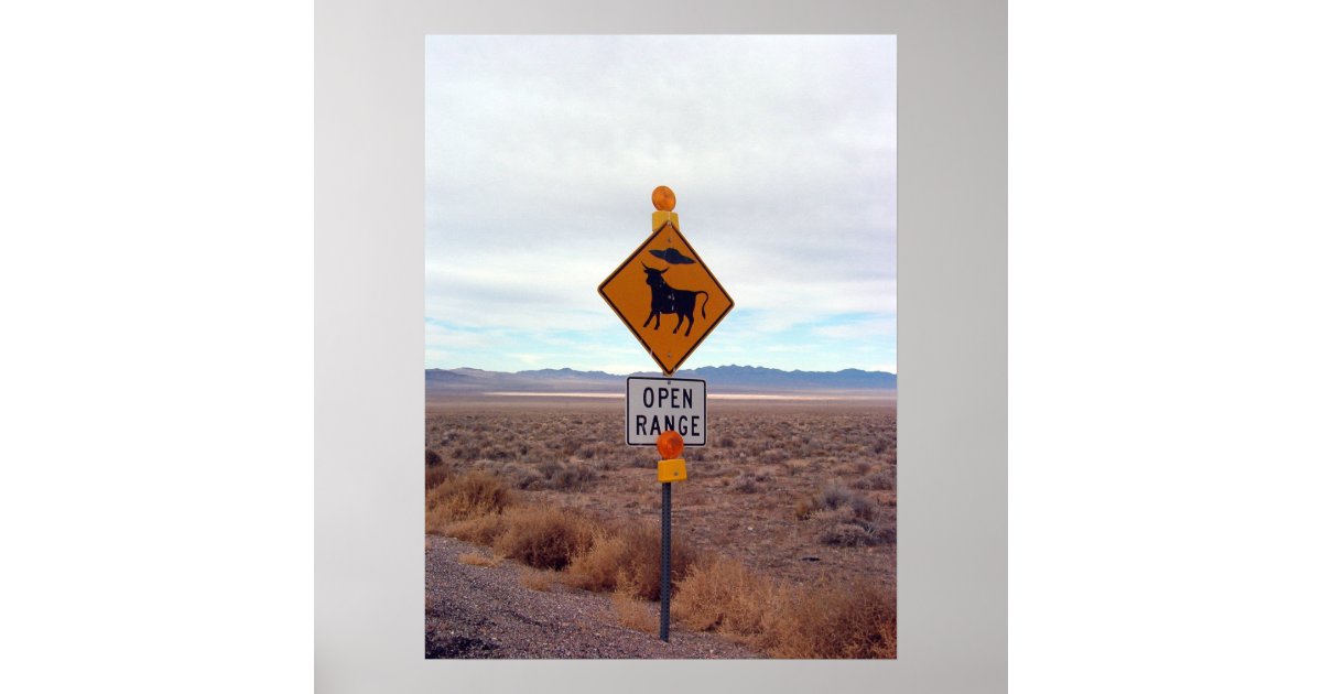 UFOs and Area 51 Poster | Zazzle.com