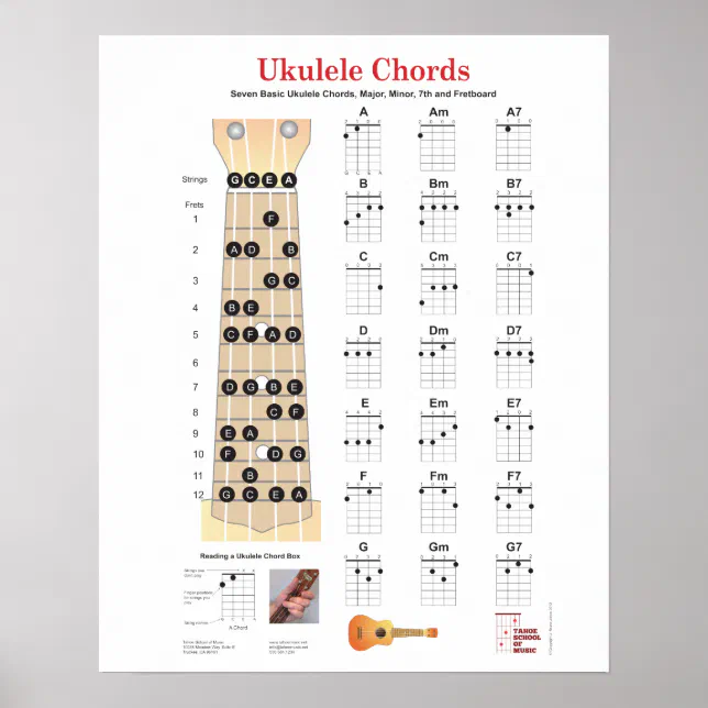 Ukulele Chords Finger Charts, Fretboard with Notes Poster | Zazzle