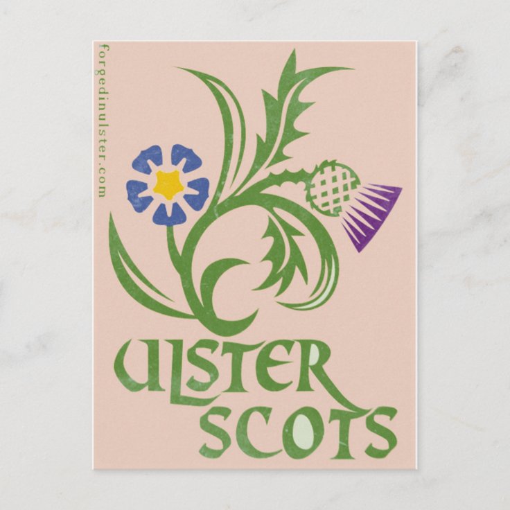 Ulster-Scots flax & thistle design. Postcard | Zazzle