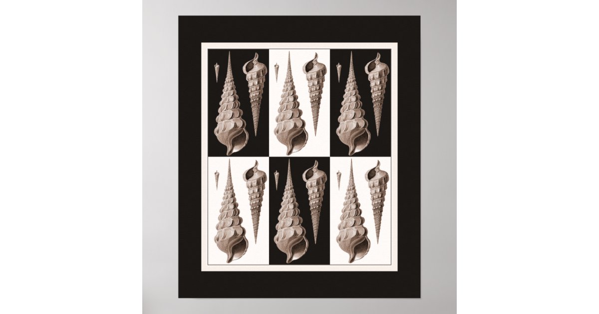 Ultra Elegant Vintage Art Deco Sea Shell Poster | Zazzle