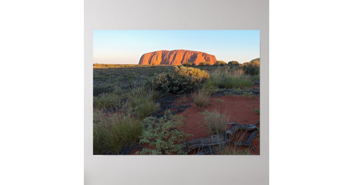 Uluru Sunrise and Desert Flora Poster | Zazzle