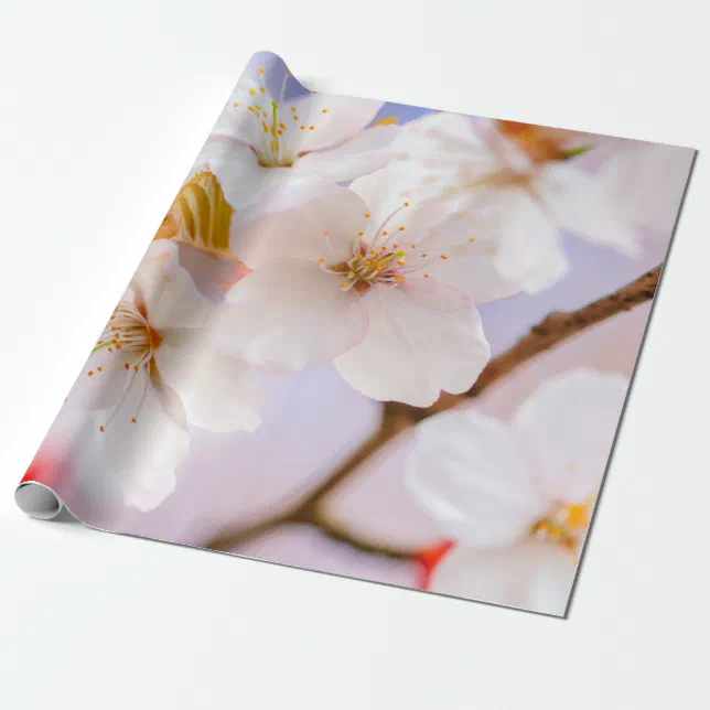 Unbelievable Beauty Of Sakura Flowers Wrapping Paper | Zazzle