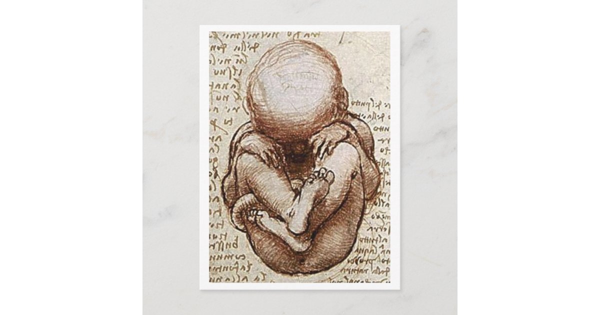 Unborn child postcard | Zazzle