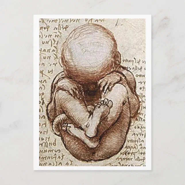 Unborn child postcard | Zazzle