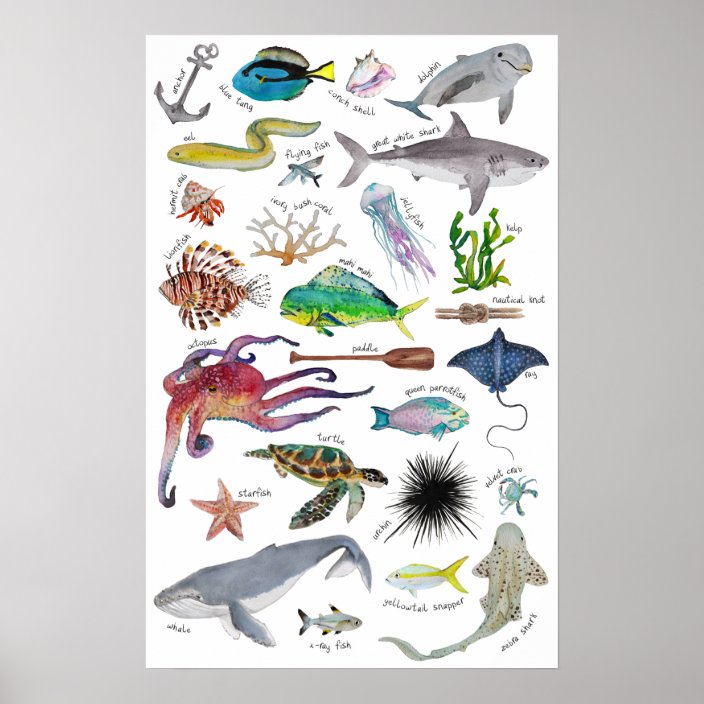 Under the Sea Alphabet Poster | Zazzle.com