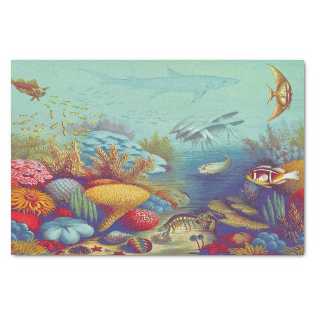 Under the Sea Marine Scene Tissue Paper | Zazzle